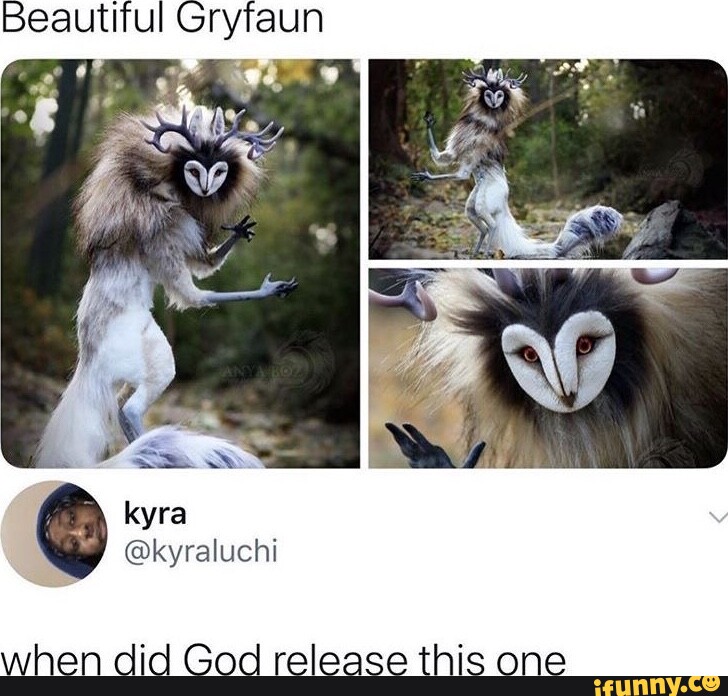 Beautiful Gryfaun when did God release this one - iFunny