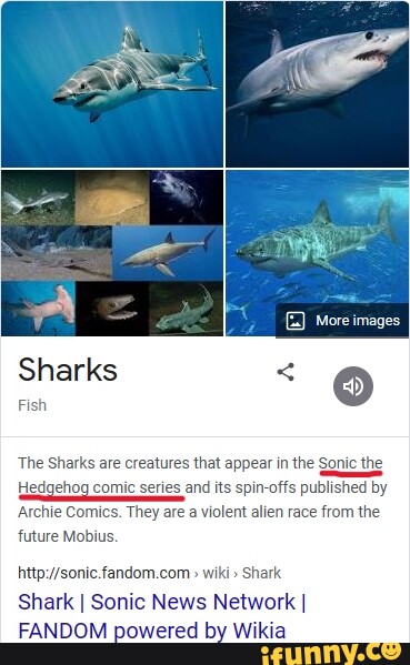 Sharks