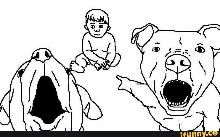 Picture memes wOEBi4239 by fermentednuts: 129 comments - iFunny