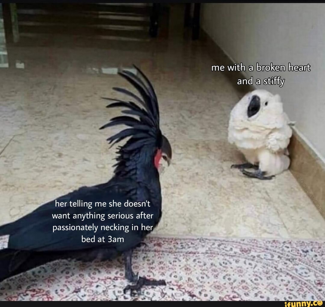 Necking memes. Best Collection of funny Necking pictures on iFunny