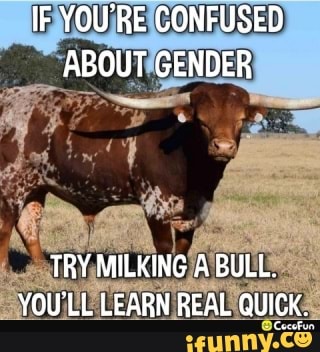 IF YOU'RE CONFUSED ABOUT GENDER TRY MILKING A BULL. YOU'LL LEARN REAL ...