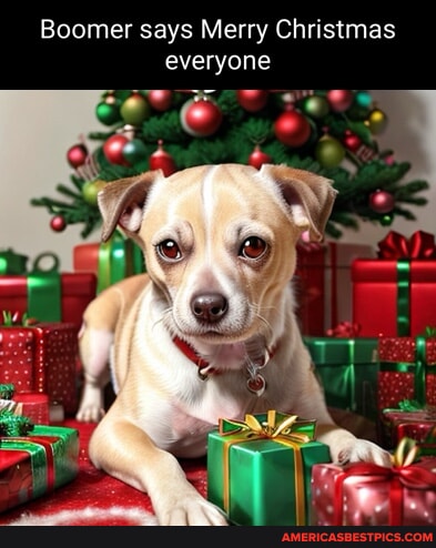 Boomer says Merry Christmas everyone - America’s best pics and videos