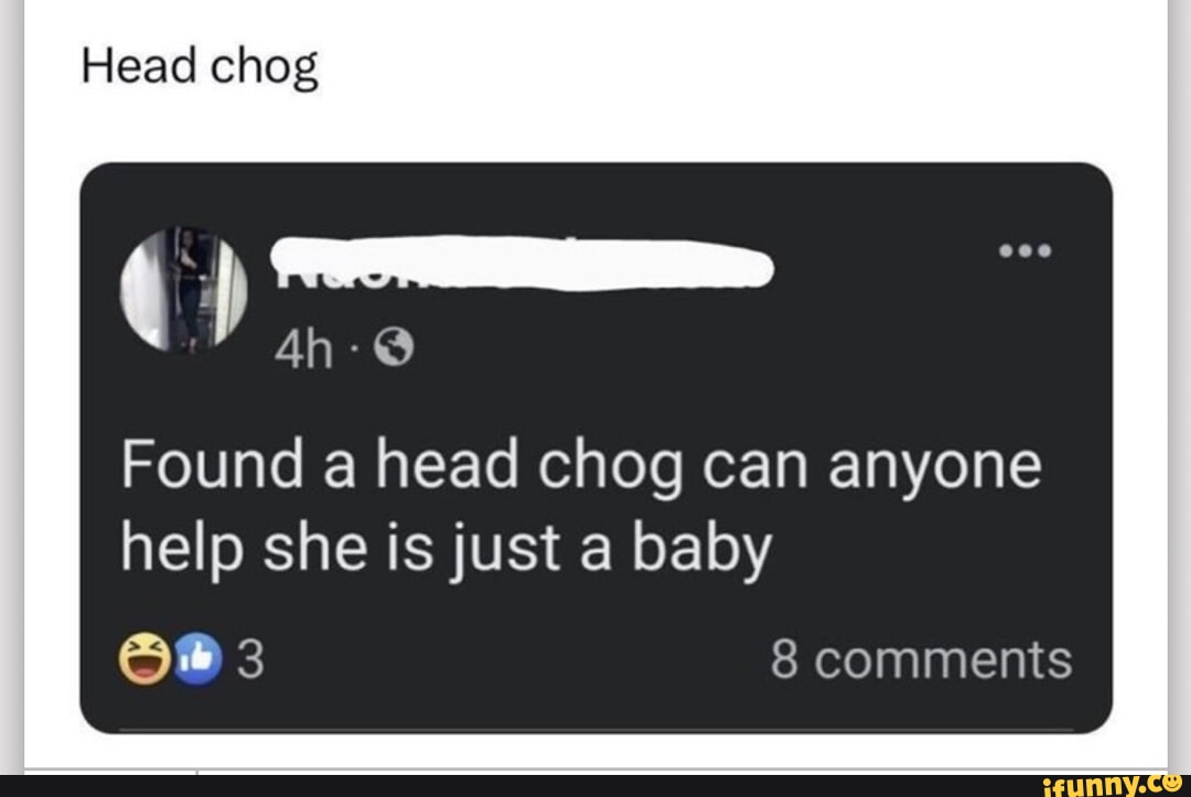 Head chog Found a head chog can anyone help she is just a baby 8 ...