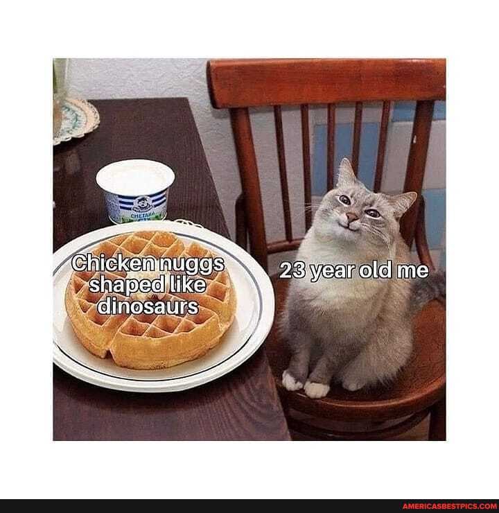 Shaped'like 23 year old me dinosaurs - America’s best pics and videos