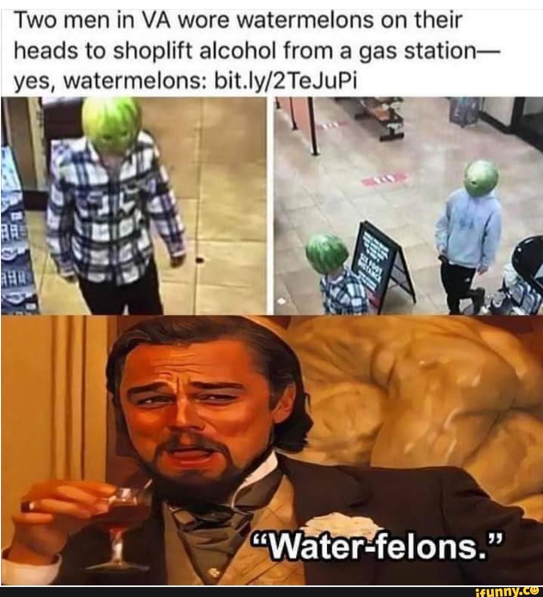 Watermelons memes. Best Collection of funny Watermelons pictures on iFunny
