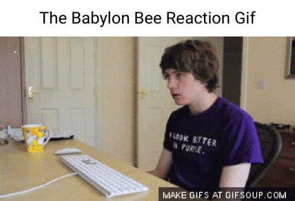 The Babylon Bee Reaction Gif I - iFunny