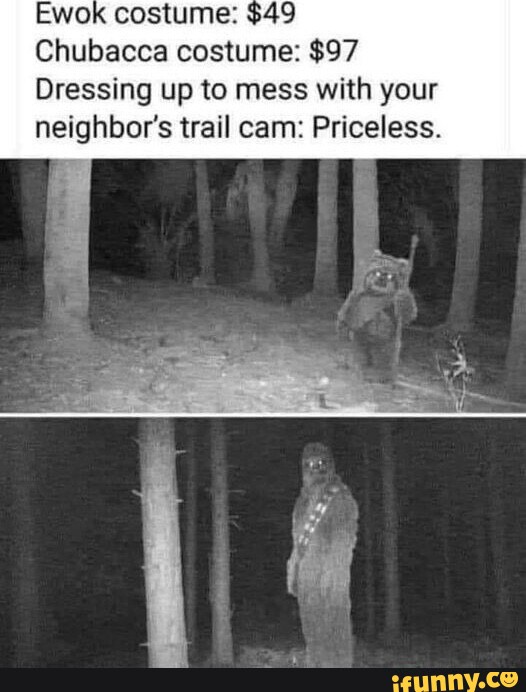 Ewok memes. Best Collection of funny Ewok pictures on iFunny