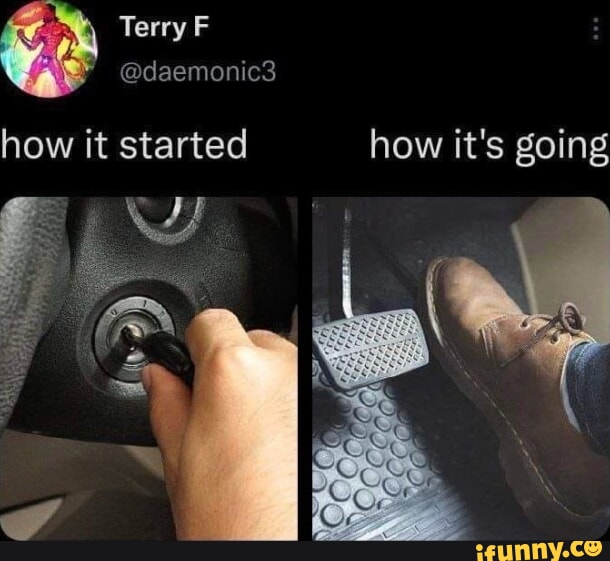 Terry F how it started how it's going - iFunny
