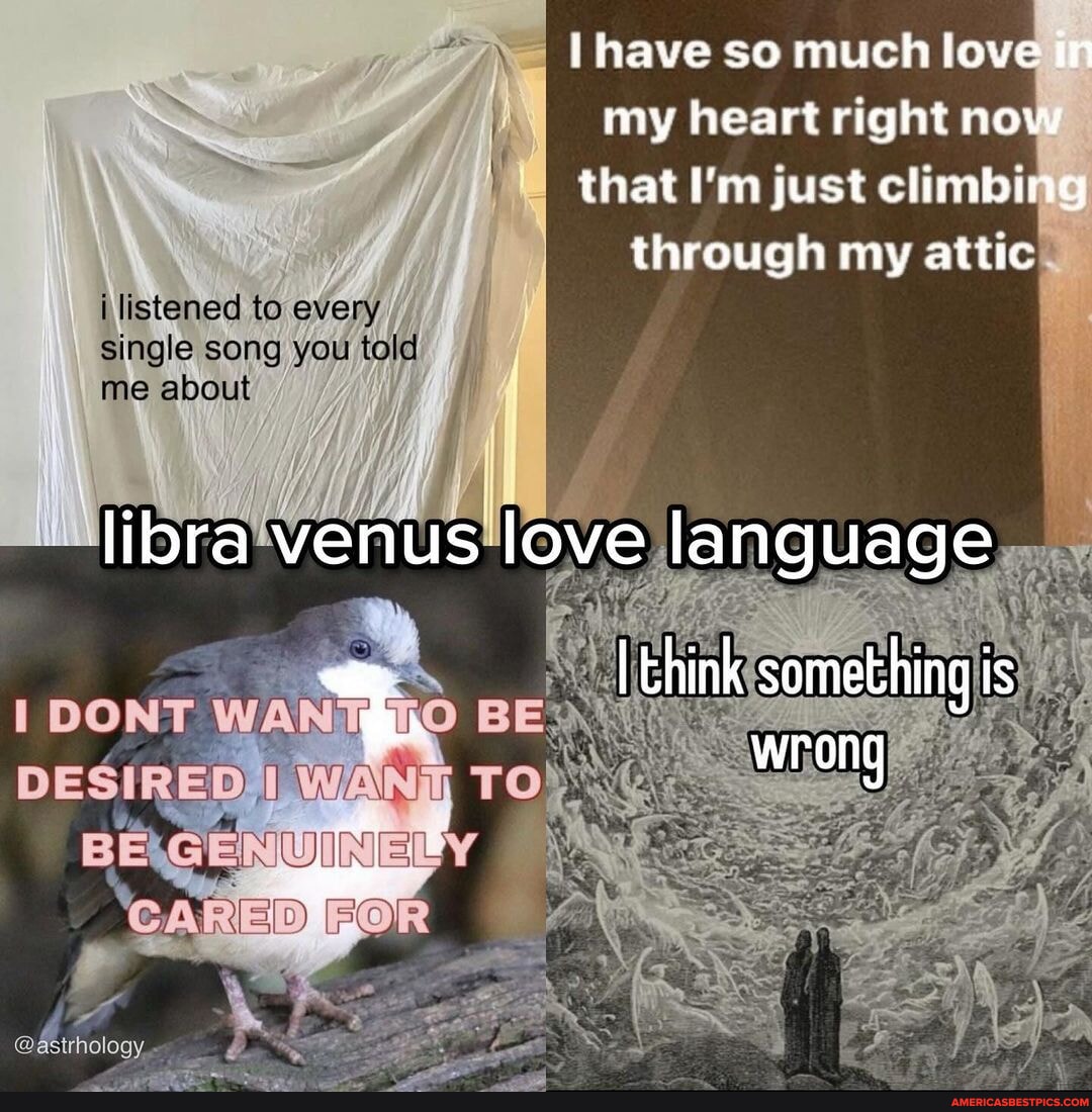 Venus sign love languages through silly little memes 💓 what's your ...