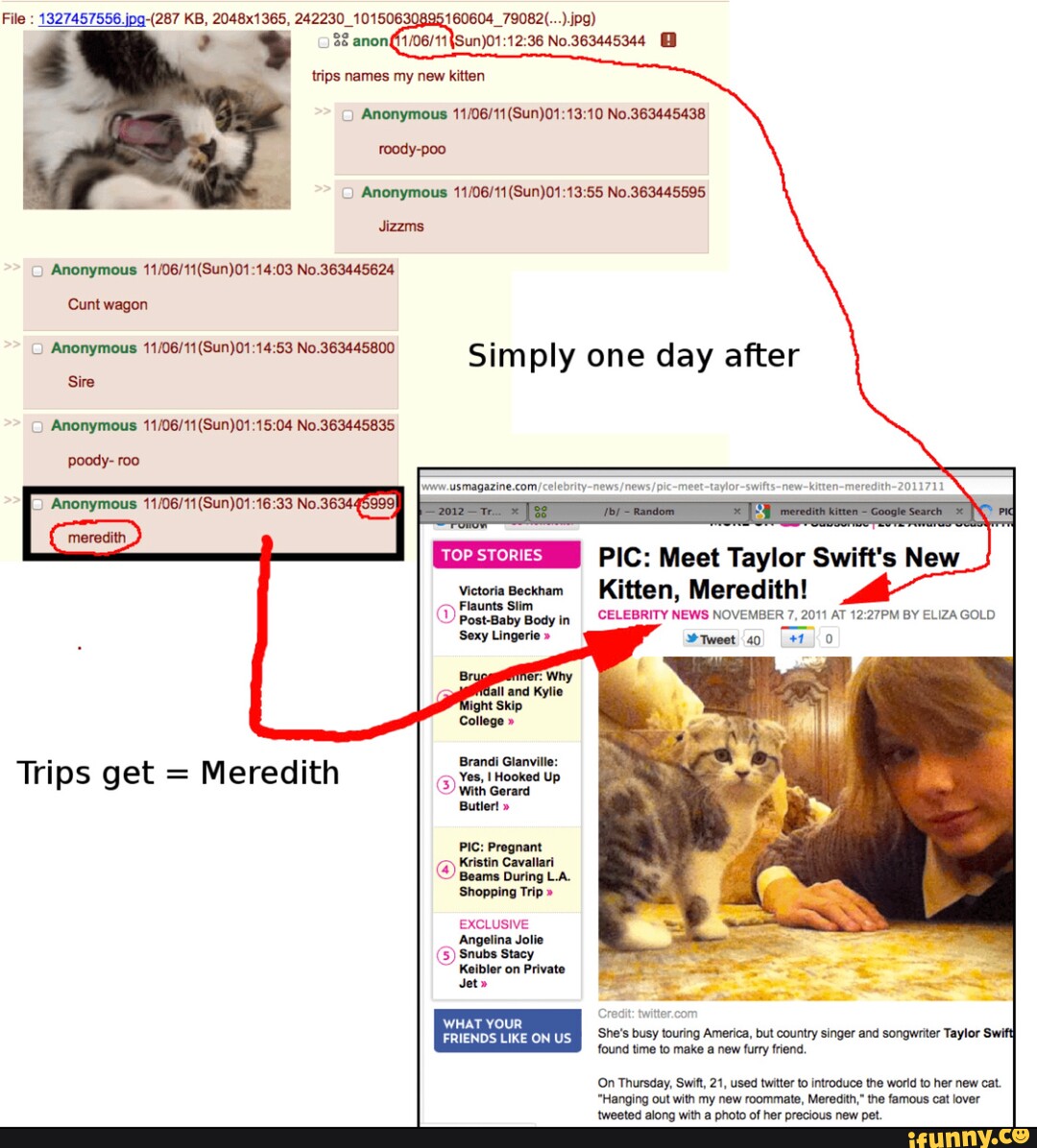 Sire memes. Best Collection of funny Sire pictures on iFunny