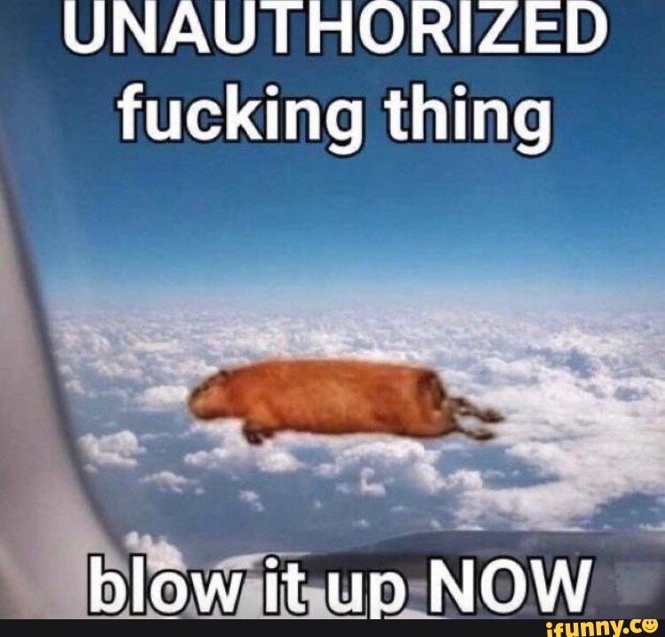 Unauthorized memes. Best Collection of funny Unauthorized pictures on ...