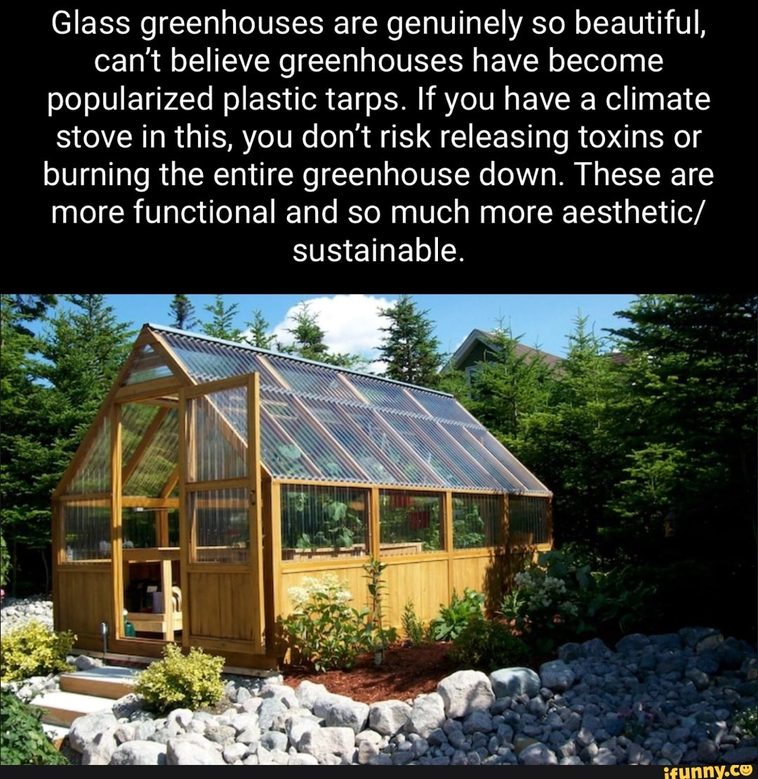 Tarps memes. Best Collection of funny Tarps pictures on iFunny