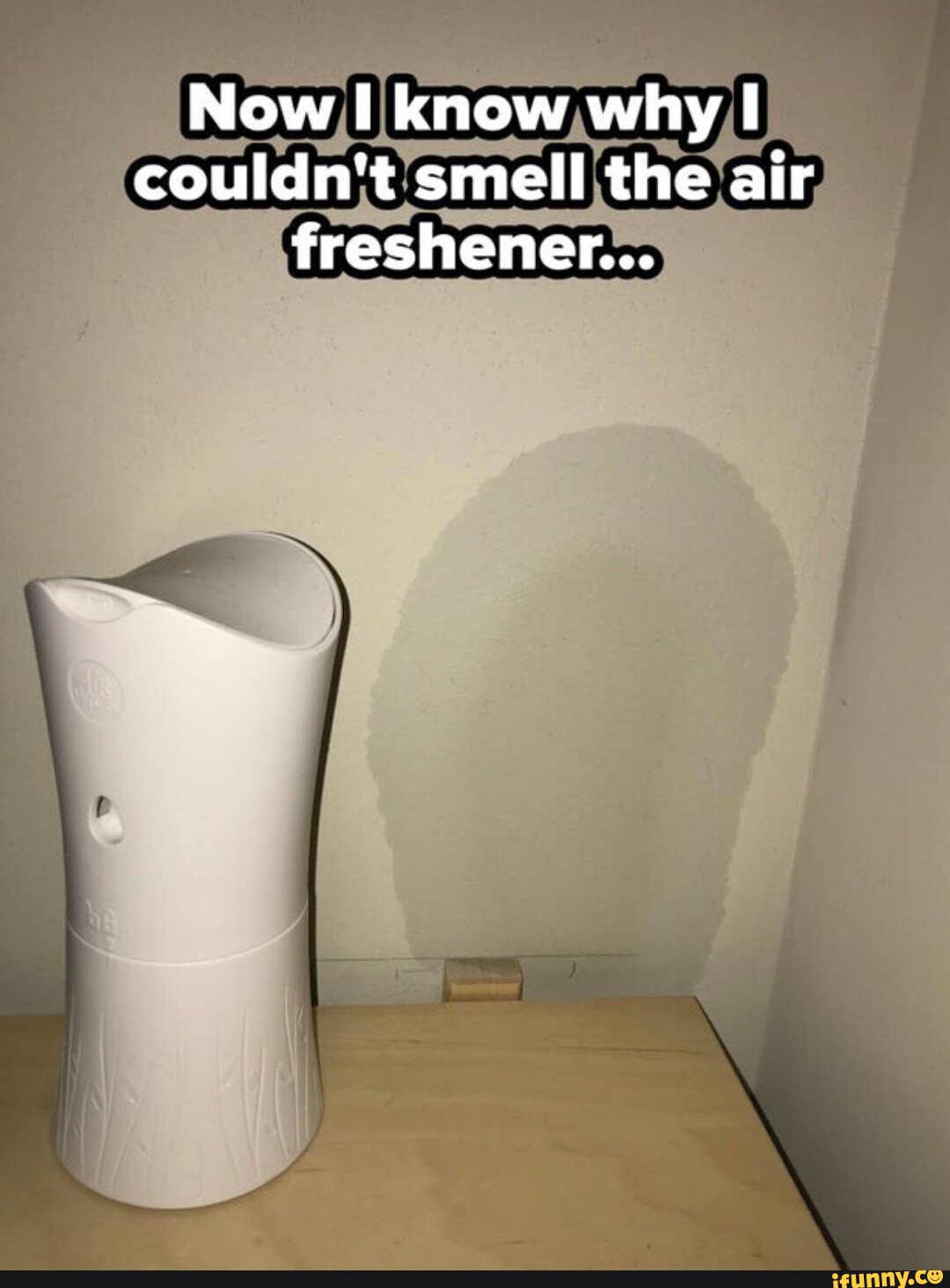 Now I know why I couldn't smell the air freshener... - iFunny