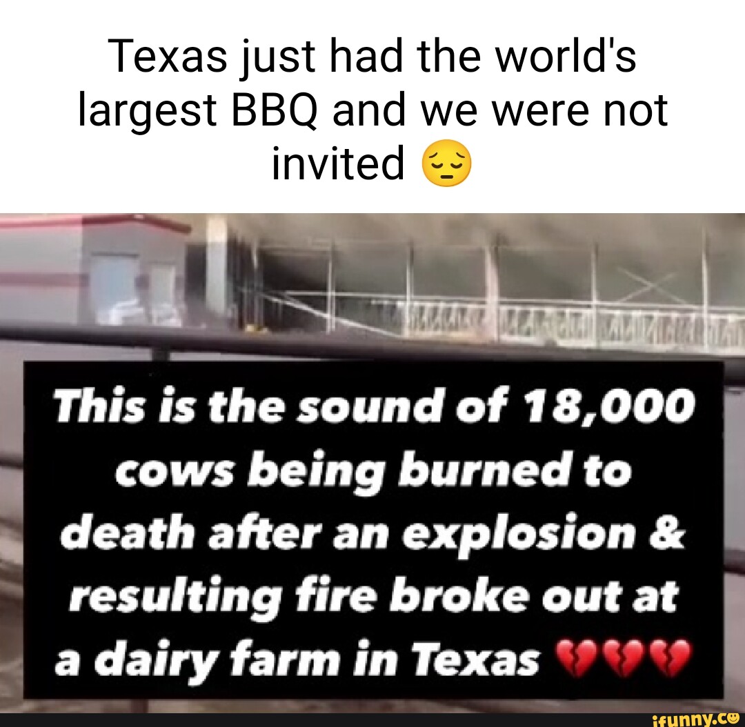 Texas just had the world's largest BBQ and we were not invited @ This ...