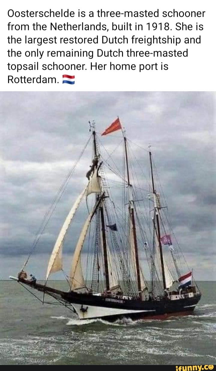 Rotterdam memes. Best Collection of funny Rotterdam pictures on iFunny