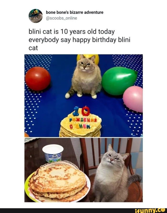 Blini memes. Best Collection of funny Blini pictures on iFunny
