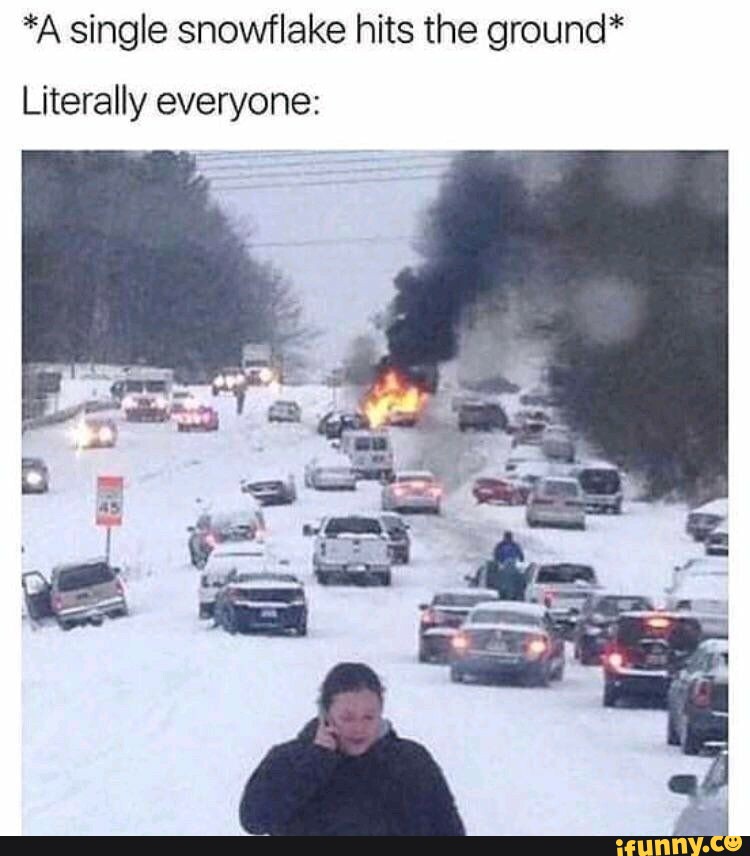 Snowflake memes. Best Collection of funny Snowflake pictures on iFunny