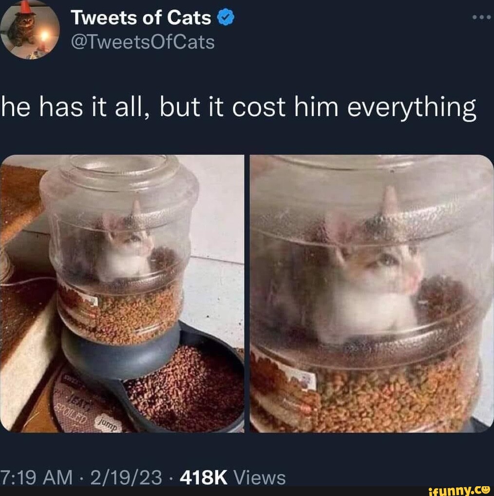 New Harry Potter game look great Harry Squatter I "the boy who lifted ...