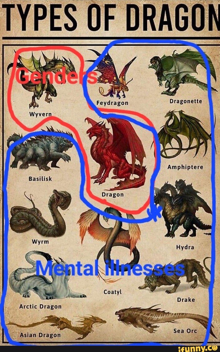 TYPES OF DRAGON Sea Orc Arctic Dragon Asian Dragon - iFunny