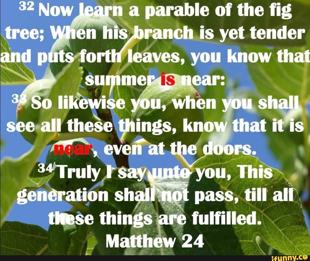 32 Now learn a parable of the fig tree; When his branch is yet tender ...