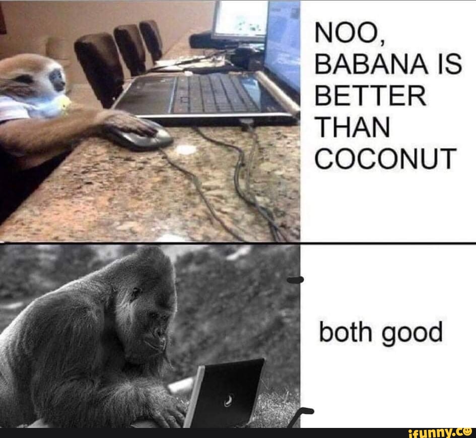 Coconut memes. Best Collection of funny Coconut pictures on iFunny
