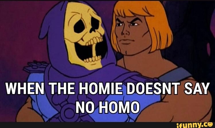 WHEN THE HOMIE DOESNT SAY NO HOMO - iFunny