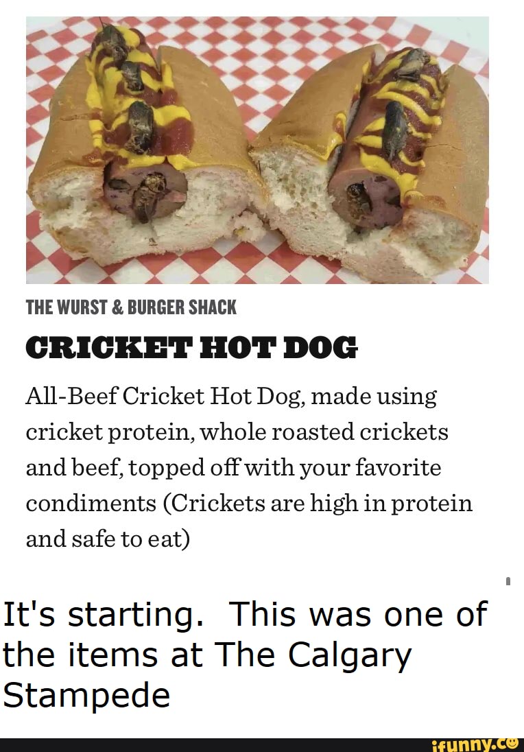THE WURST & BURGER SHACK CRICKET HOT DOG All-Beef Cricket Hot Dog, made ...