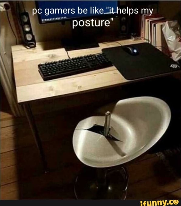 Pc gamer be like helps my " \ posture" - iFunny