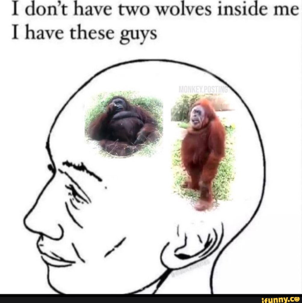 I don't have two wolves inside me I have these guys I - iFunny
