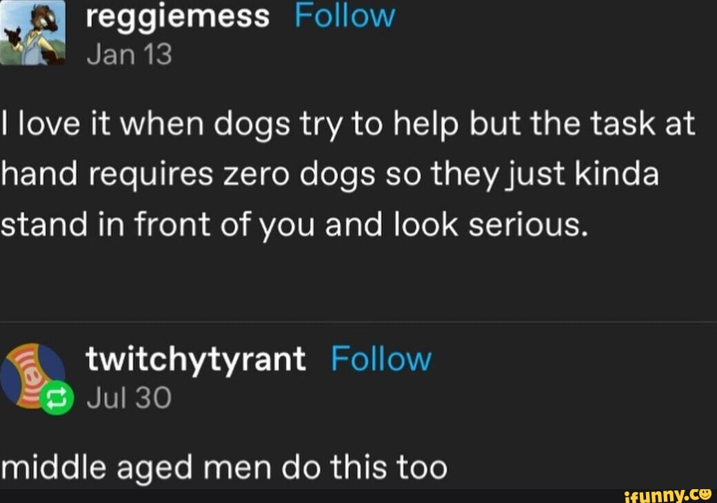 Reggiemess Follow Jan 13 I love it when dogs try to help but the task ...