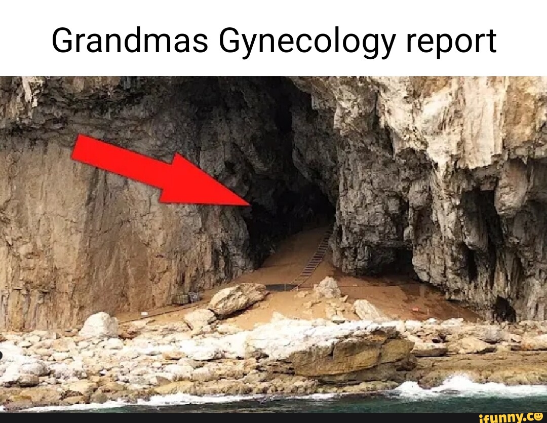 Gynecology memes. Best Collection of funny Gynecology pictures on iFunny