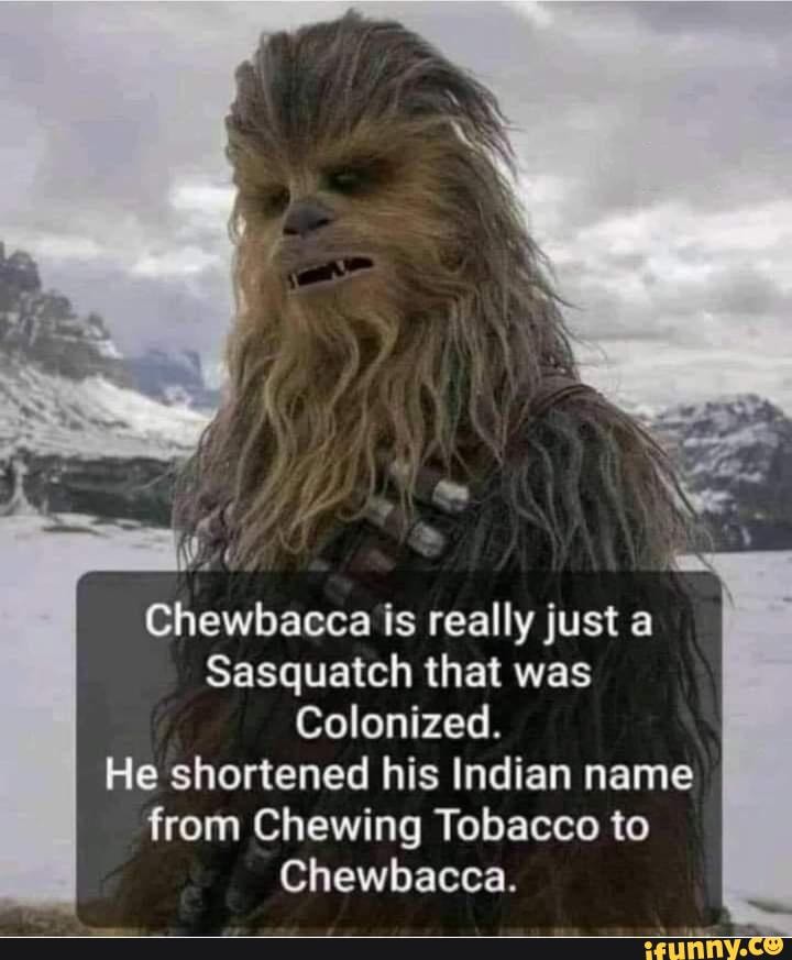 Hahahaha - Chewbacca is really just a Sasquatch that was Colonized. He ...