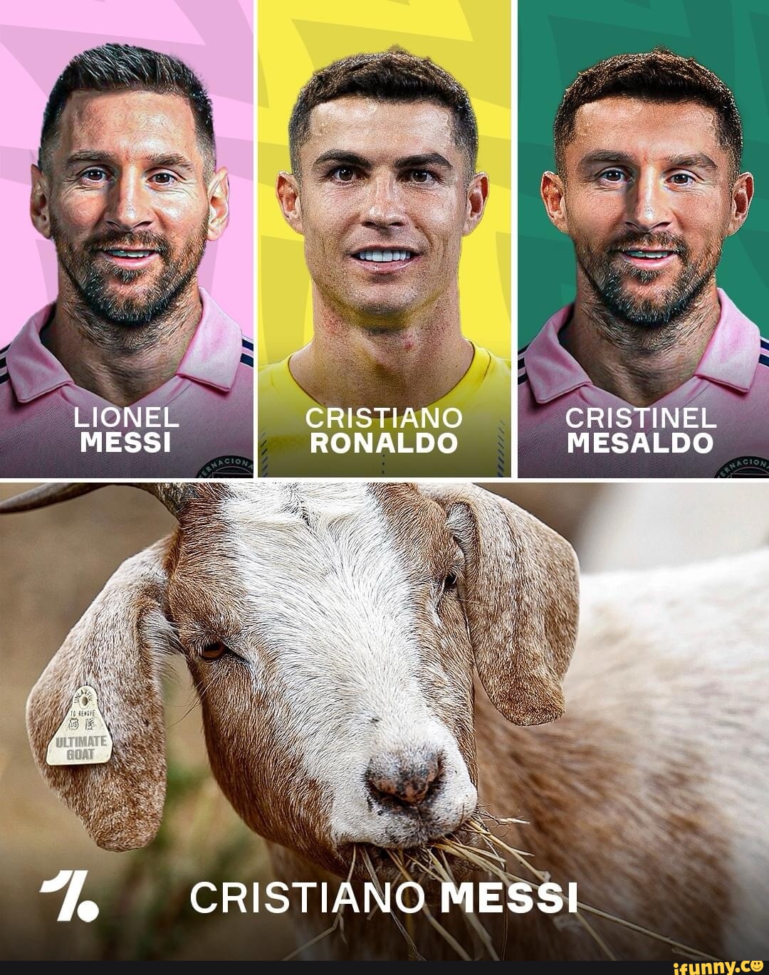 Cristiano Ronaldo memes memes. The best memes on iFunny