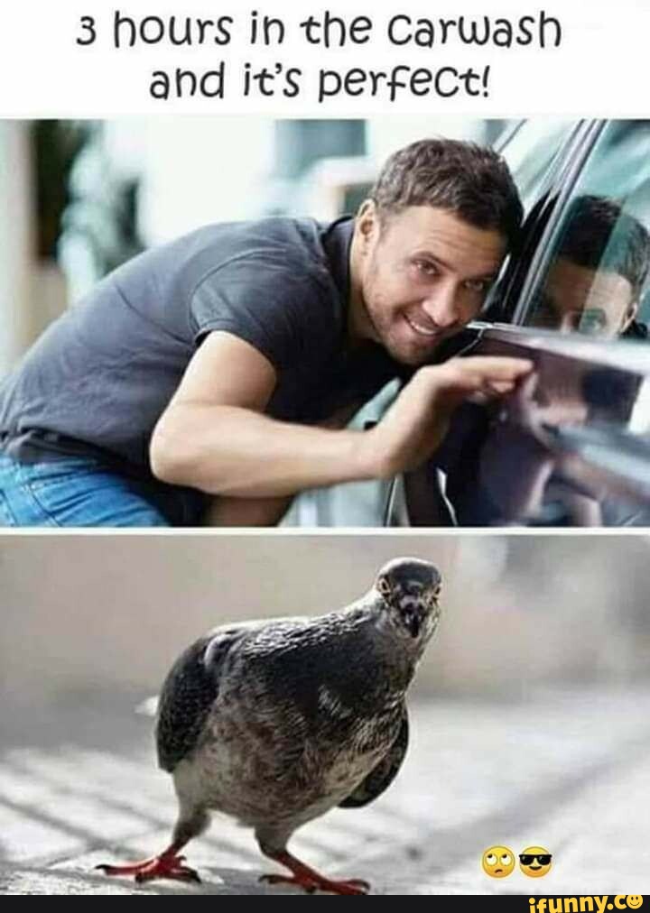 Carwash memes. Best Collection of funny Carwash pictures on iFunny