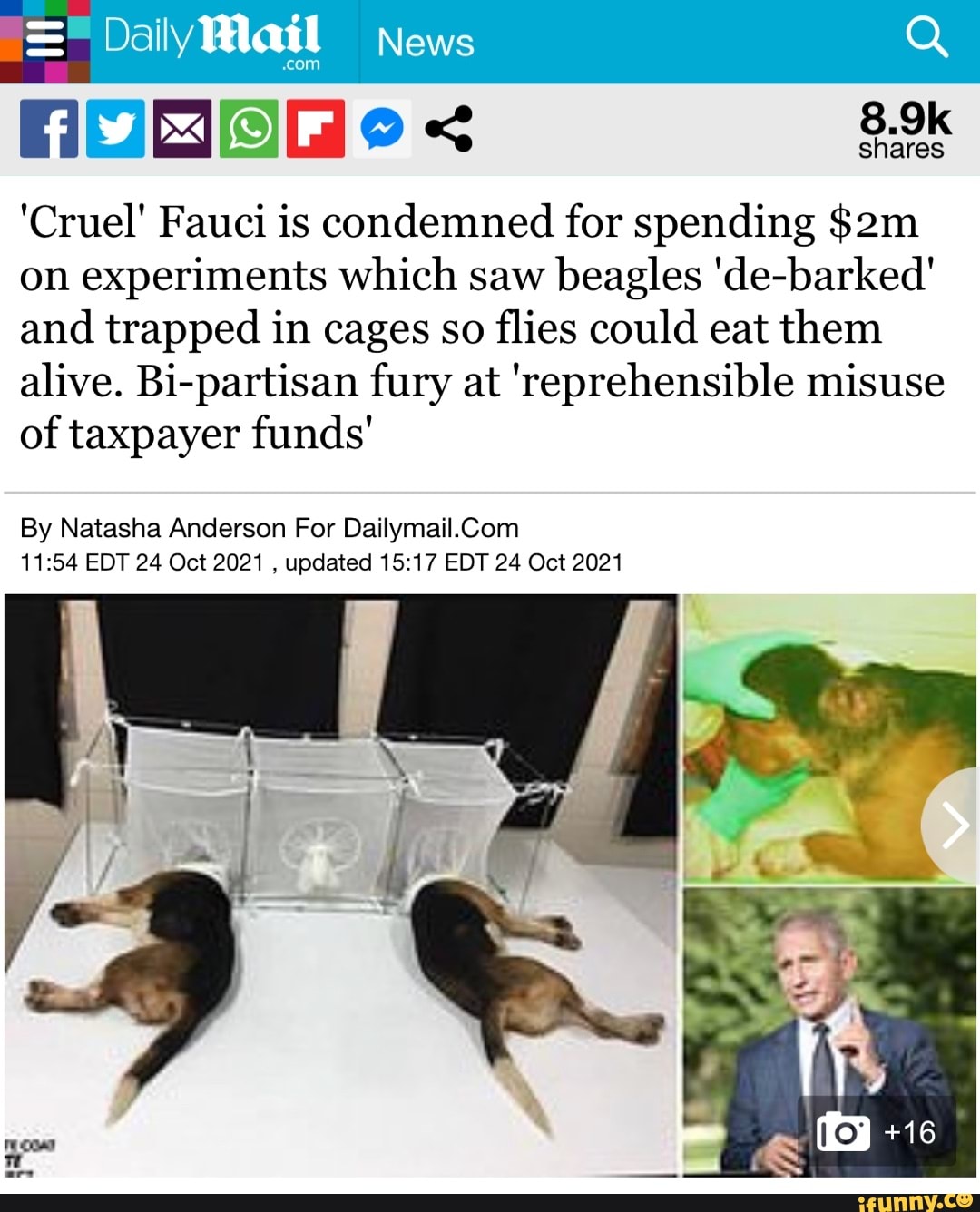 Daily News 'Cruel' Fauci is condemned for spending on experiments which ...