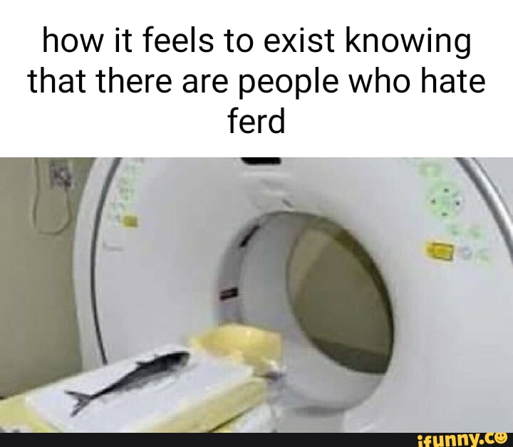 Ferd memes. Best Collection of funny Ferd pictures on iFunny