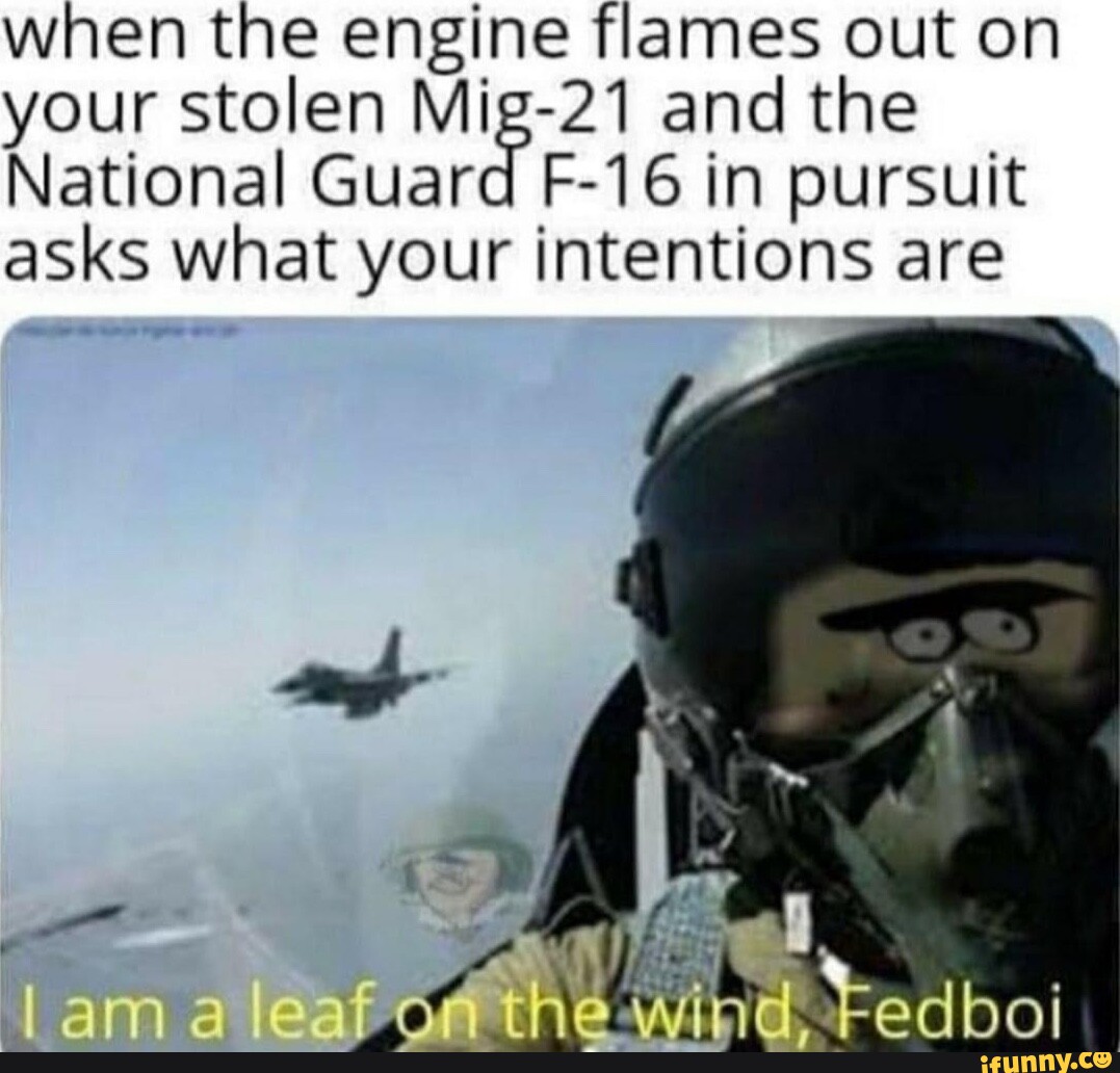 When the engine flames out on your stolen Mig-21 and the National Guard ...