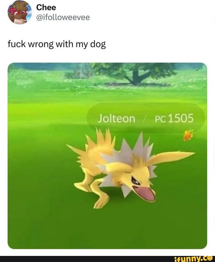 Jolteon memes. Best Collection of funny Jolteon pictures on iFunny