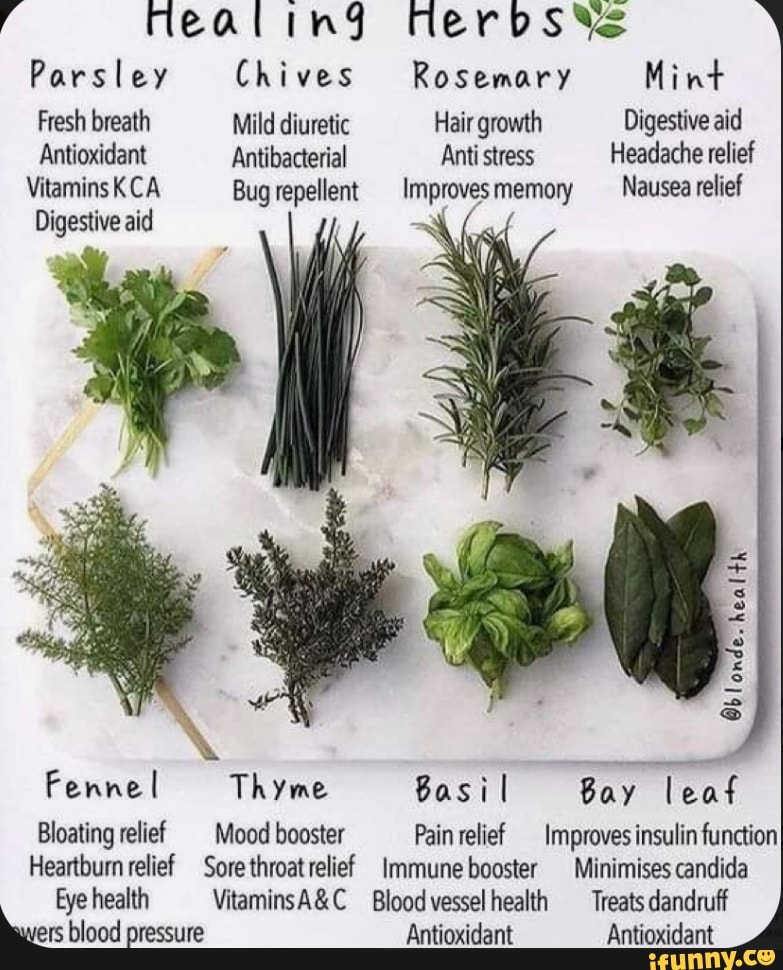 Diuretic memes. Best Collection of funny Diuretic pictures on iFunny