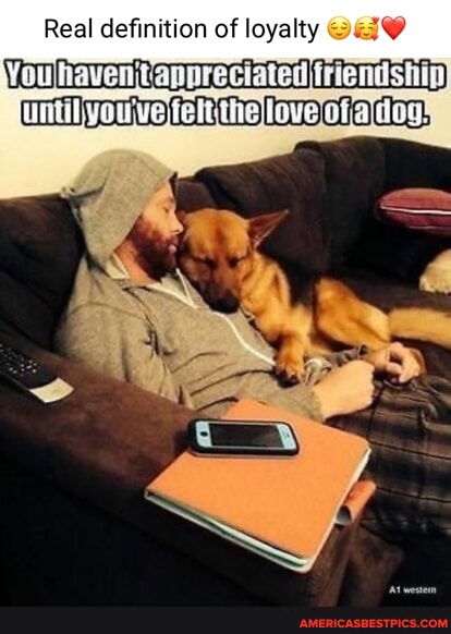 Real definition of loyalty until friendship} - America’s best pics and ...