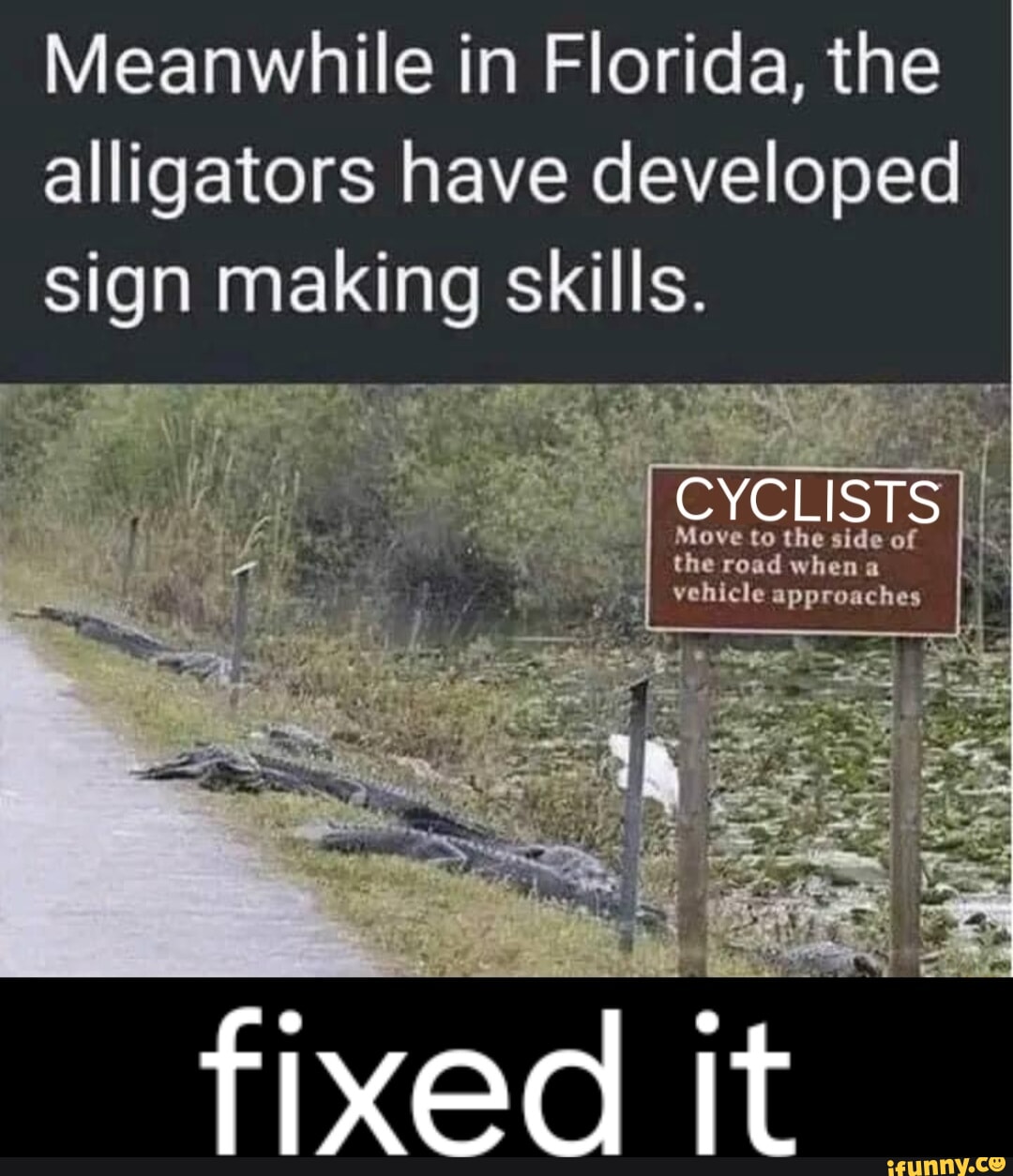 Meanwhile in Florida, the alligators have developed sign making skills ...