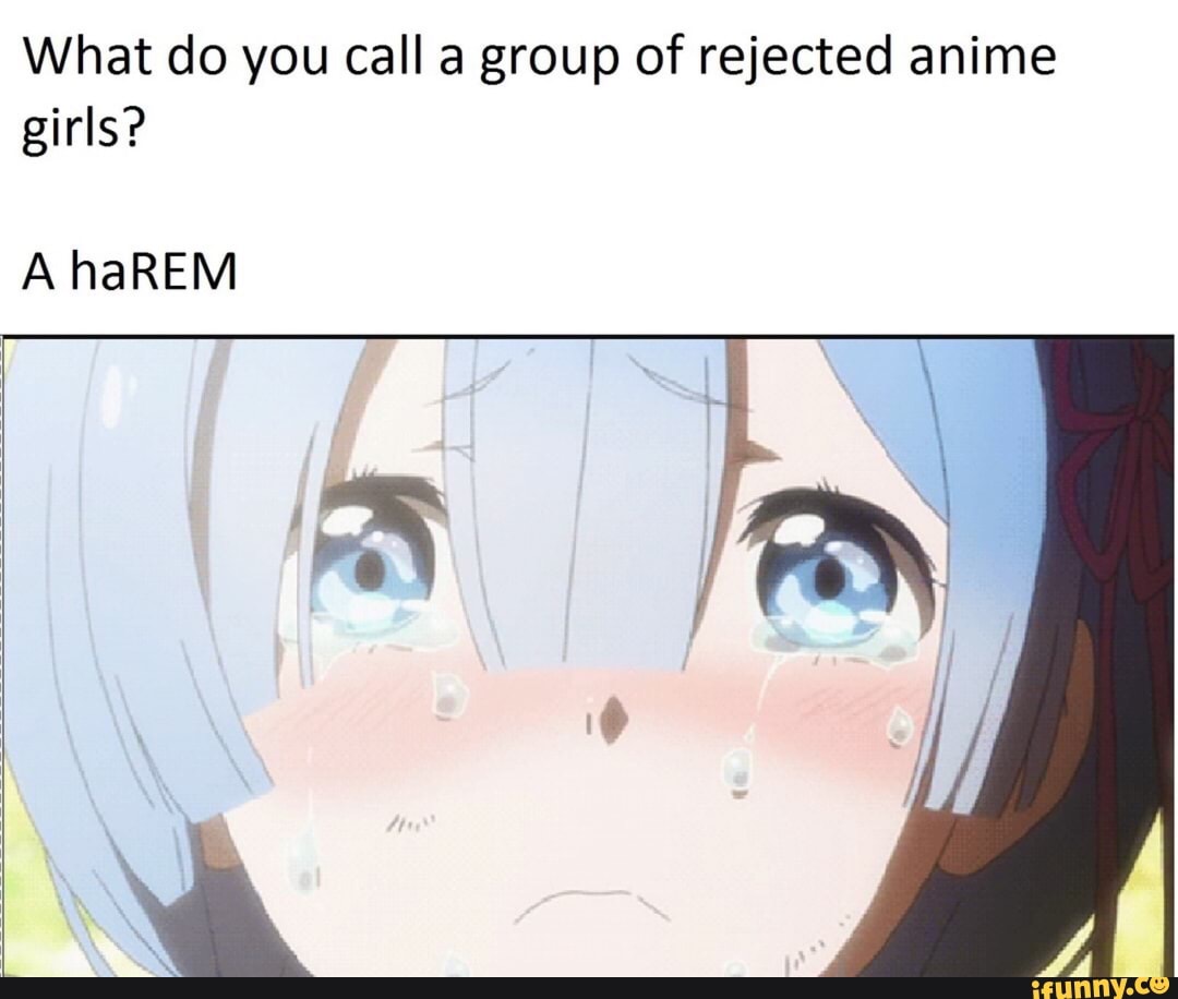 What do you call a group of rejected anime girls? A haREM - iFunny