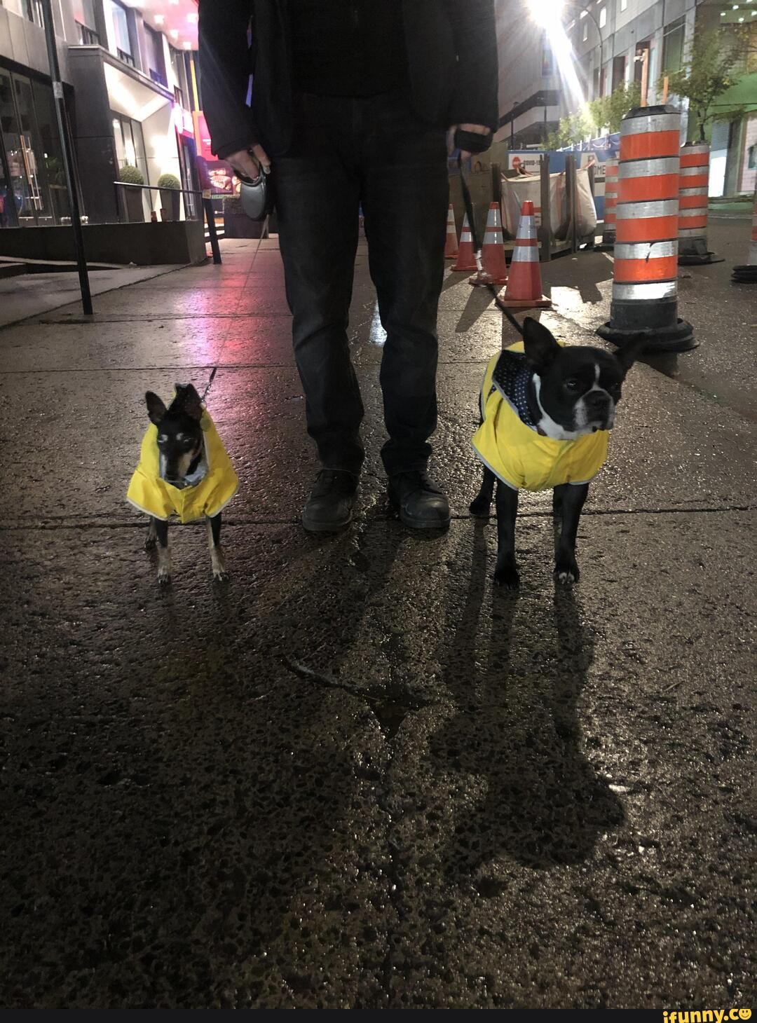 Raincoats memes. Best Collection of funny Raincoats pictures on iFunny