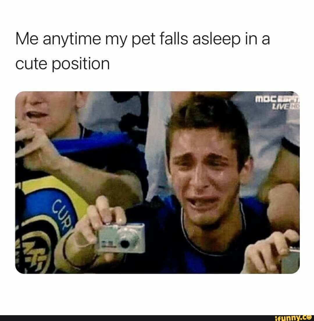 Me anytime my pet falls asleep in cute position - iFunny