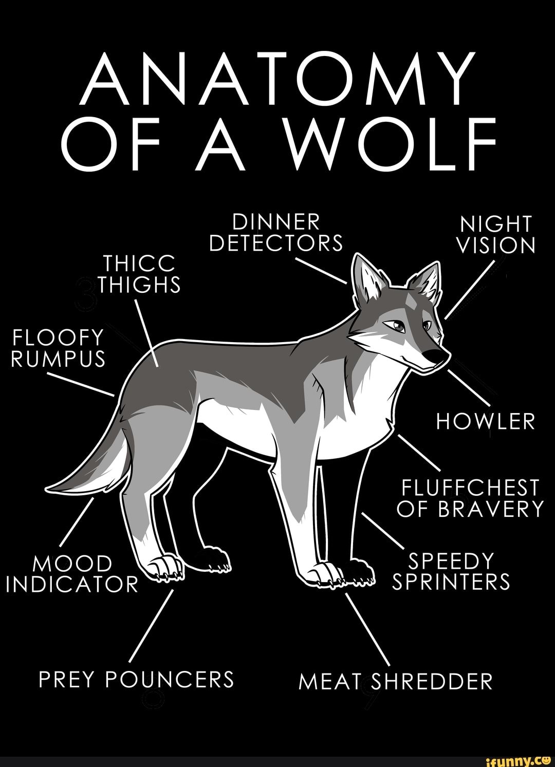 DINNER NIGHT DETECTORS VISION THICC THIGHS FLOOFY RUMPUS HOWLER ...