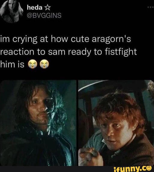 Heda @BVGGINS im crying at how cute aragorn's reaction to sam ready to ...