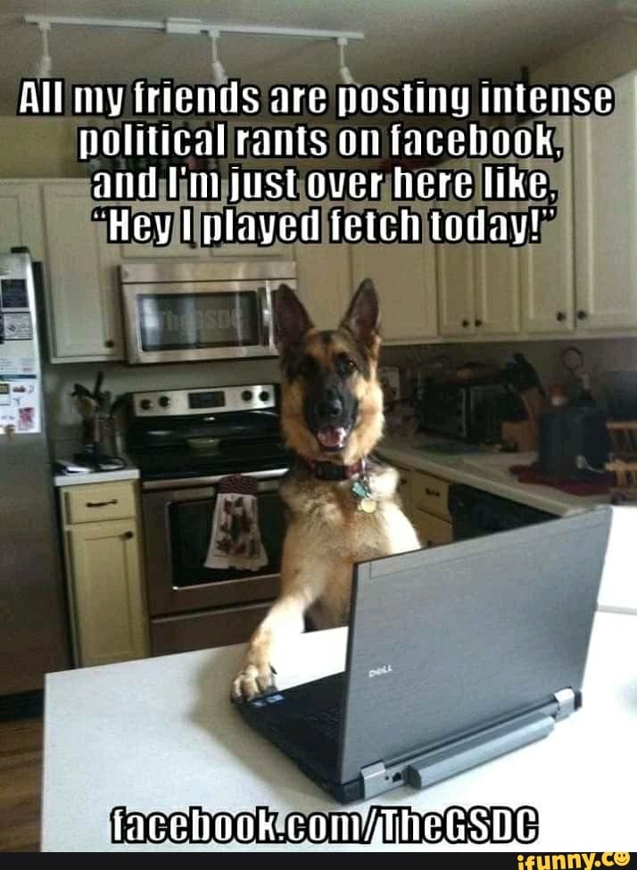 Lalayed memes. Best Collection of funny Lalayed pictures on iFunny