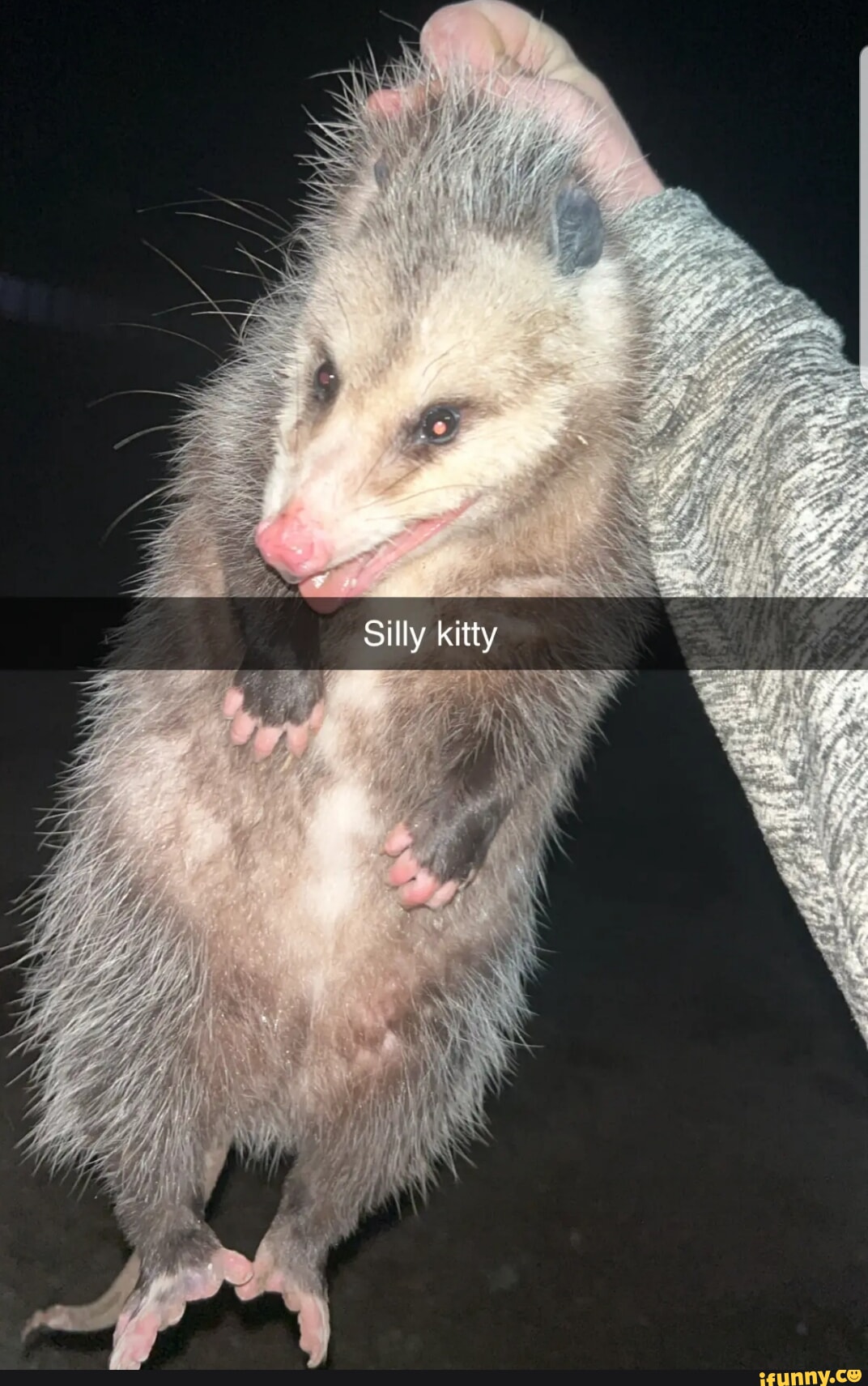 @MRIAMESGIFFORD BRONNTANAS BLADE +1 LONGSWORD, 108 SLASHING, (FINESSE ...