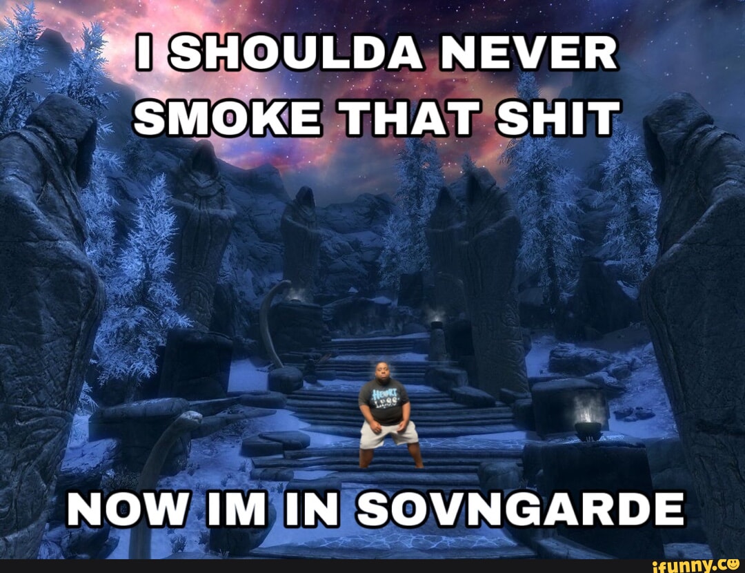 I SHOULDA NEVER SMOKE THAT SHIT NOW IM IN SOVNGARDE - iFunny