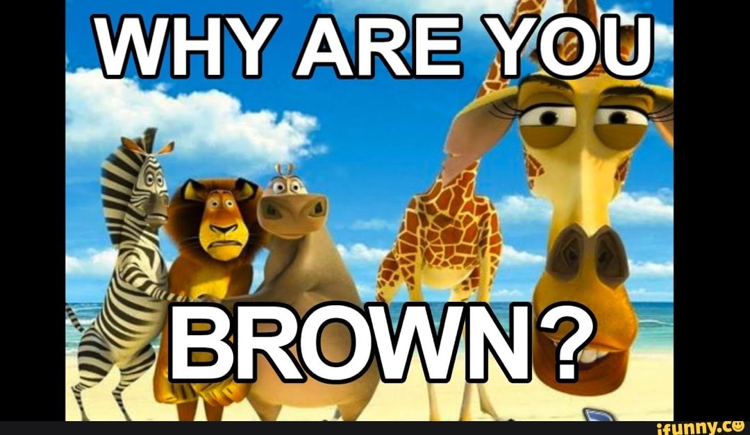 Y ARE YOU' BROWN? - iFunny